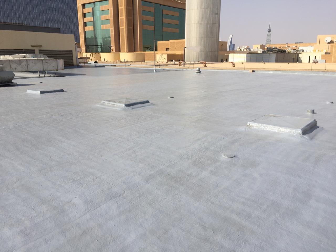 ROOF INSULATION & WATERPROOFING - DELTA Coatings