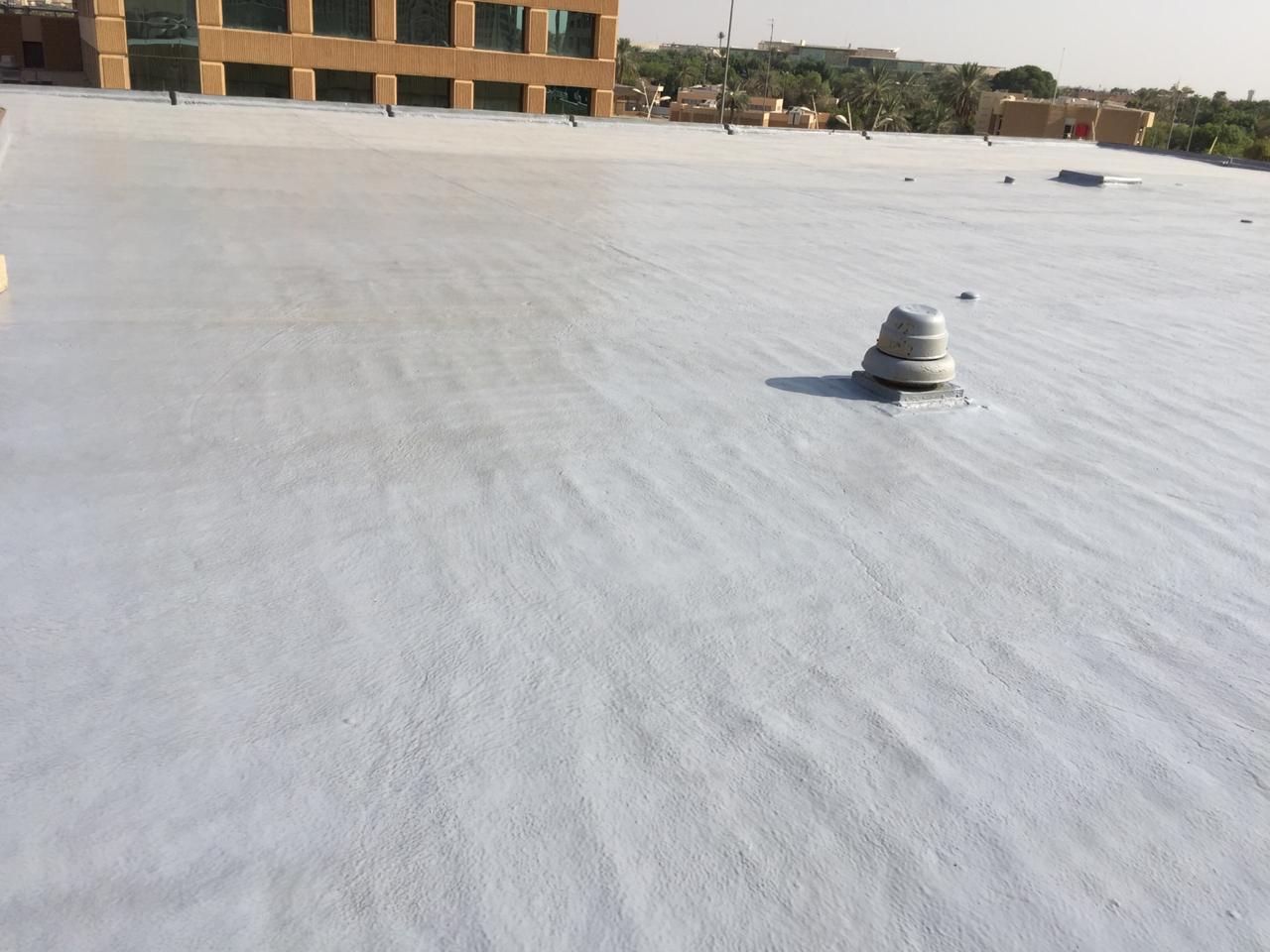 ROOF INSULATION & WATERPROOFING - DELTA Coatings