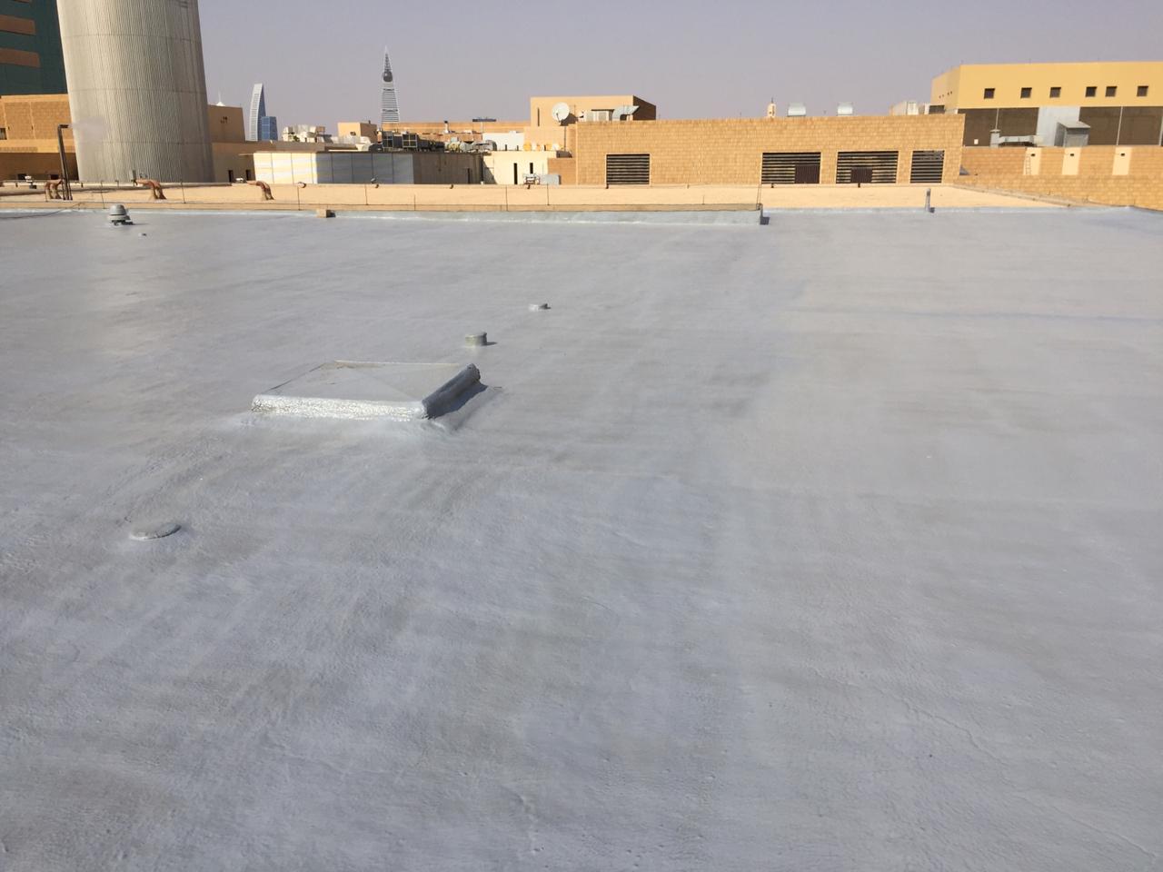 ROOF INSULATION & WATERPROOFING - DELTA Coatings