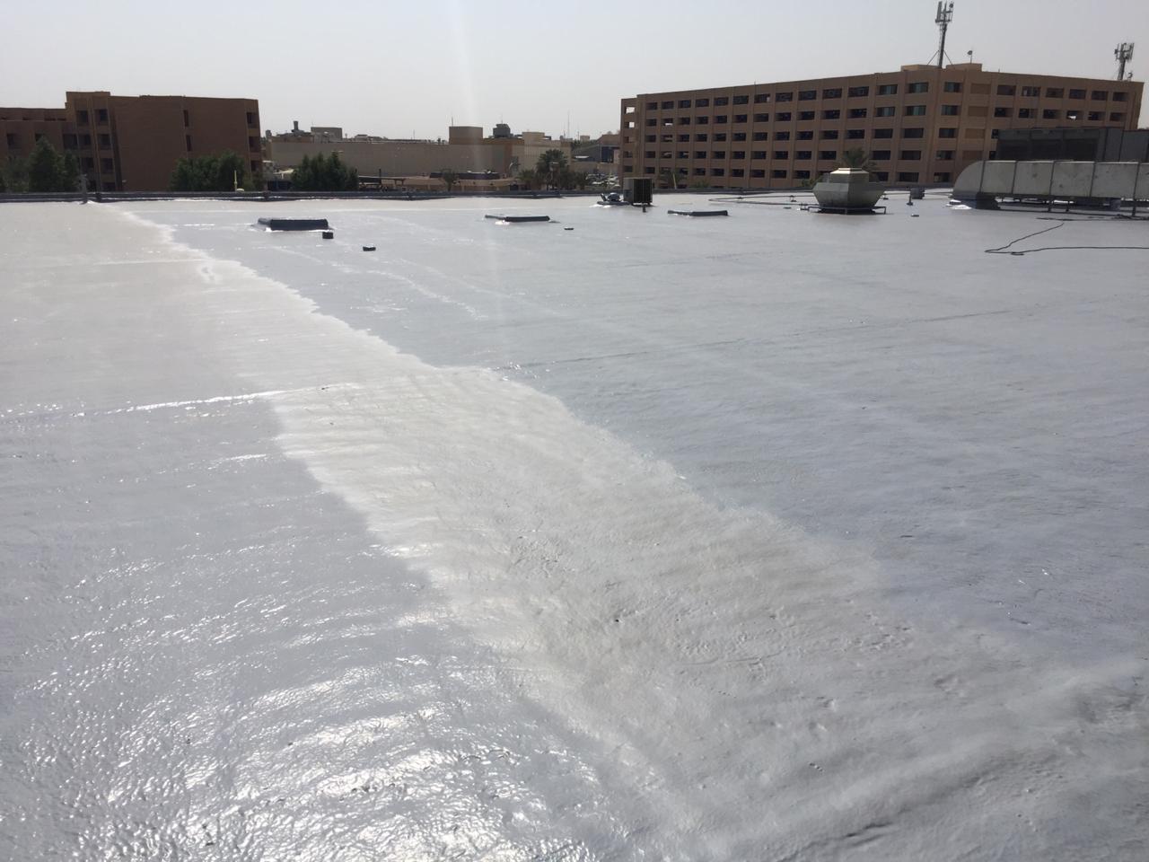ROOF INSULATION & WATERPROOFING - DELTA Coatings