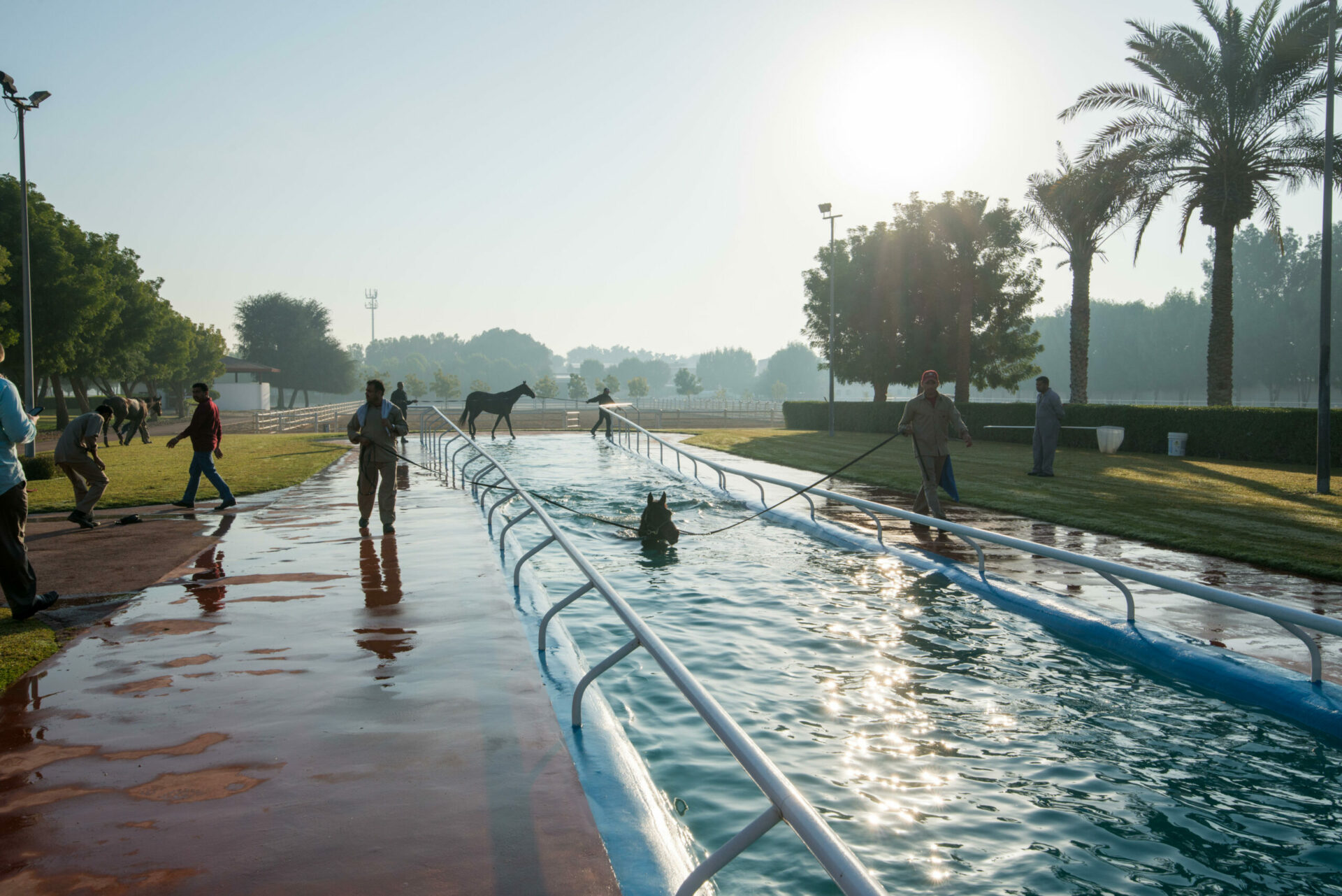 HORSE POOLS - DELTA Coatings